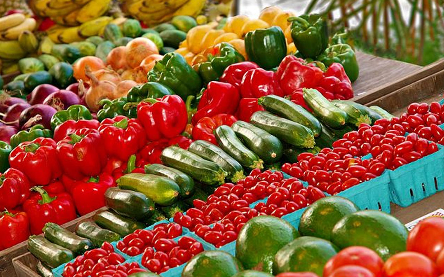 Complete Guide to VIVA Supermarkets in the UAE - MyBayut
