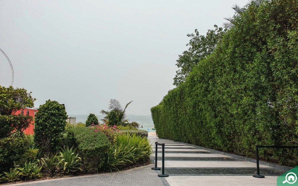 All About JBR Walk, Dubai: Restaurants, Shops, Location & more - MyBayut