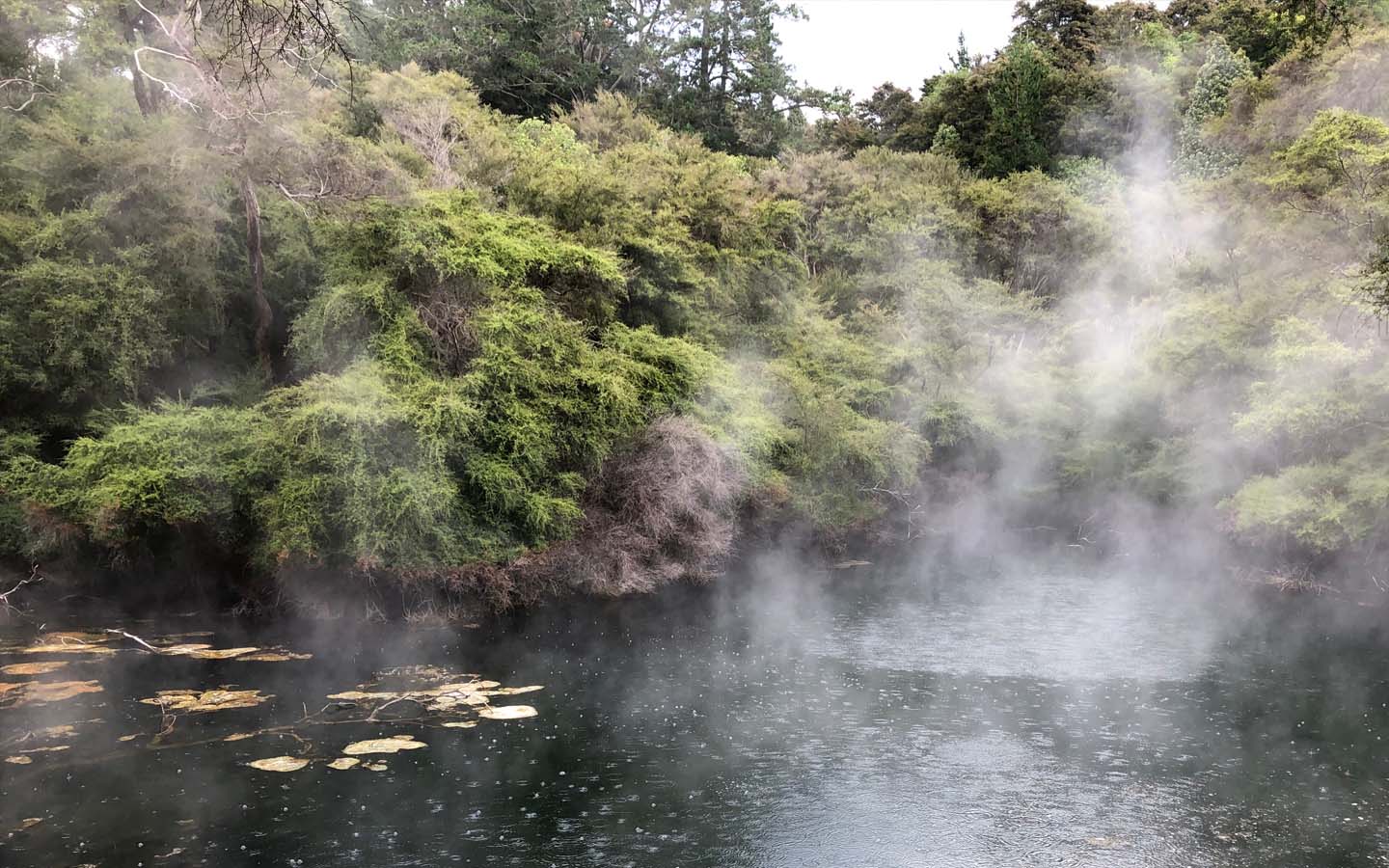 العيون والينابيع في الإمارات: عين الفايضة، عين خت، عين مضب | ماي بيوت