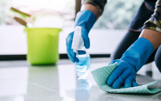 طرق التخلص من الدود في المنزل العناصر الطبيعية والمبيدات ماي بيوت