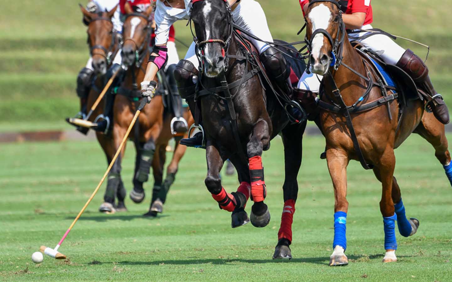 Best places to play polo in Dubai: Al Habtoor, Dubai Polo & More - MyBayut