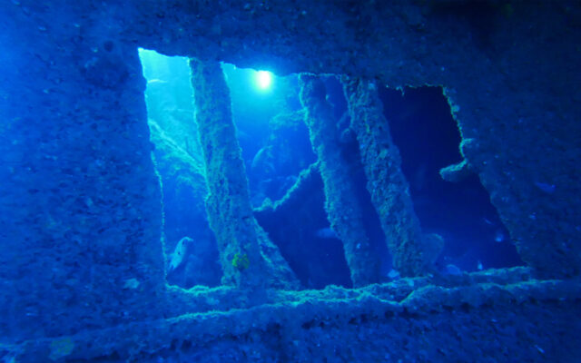 The Best Spots for Wreck Diving in Dubai - MyBayut