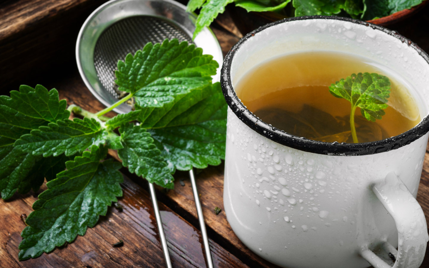 Best Places For Afternoon Tea in Ras al Khaimah - MyBayut