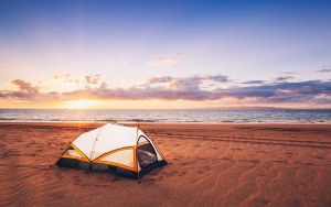 All About Jebel Ali Beach Dubai: Location, Activities & More - MyBayut