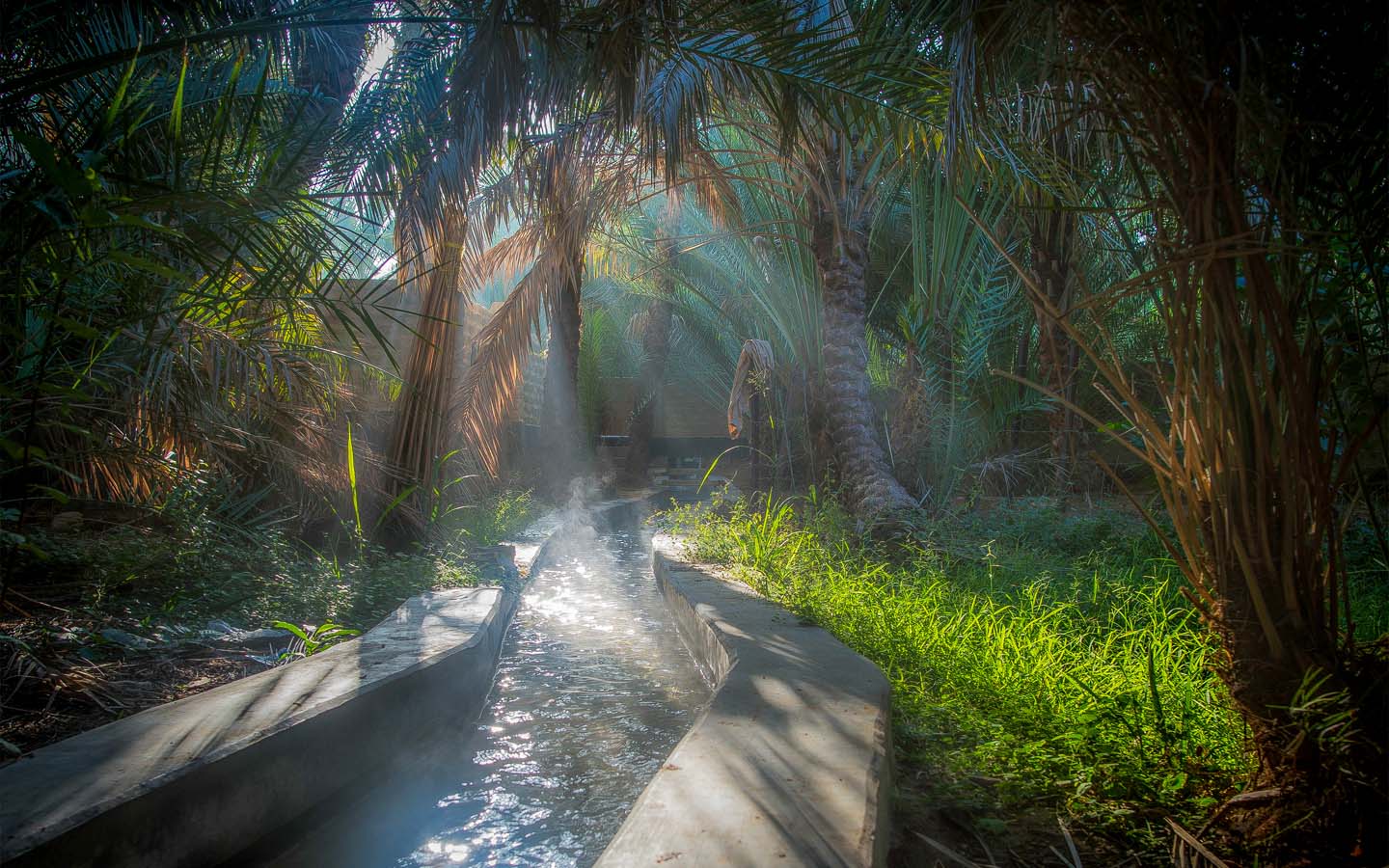 Oases in Al Ain: Al Ain Oasis, Al Hili, Al Qattara & More - MyBayut