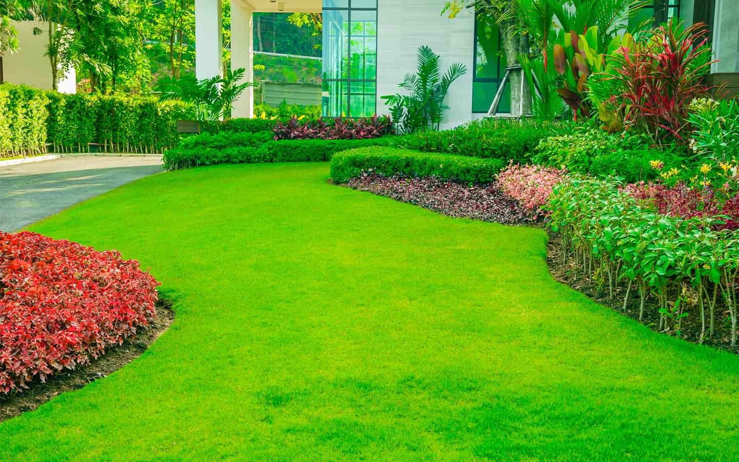 A Guide to Lawns in Dubai: Types, Maintenance, Cost & More | MyBayut