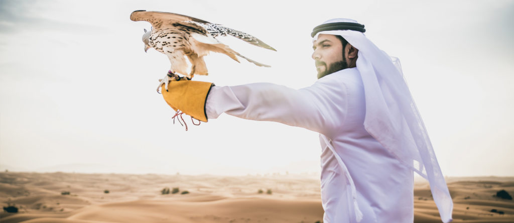 A Guide to Falconry in the UAE: History, Relevance & More - MyBayut