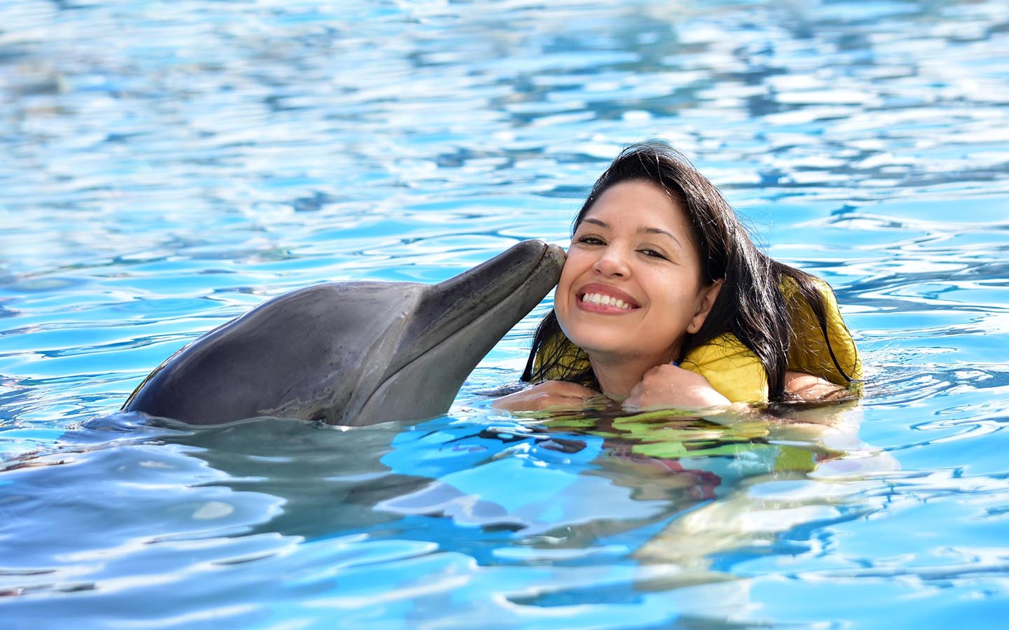 Dolphin Bay by Atlantis Dubai: Tickets, Timings & More - MyBayut