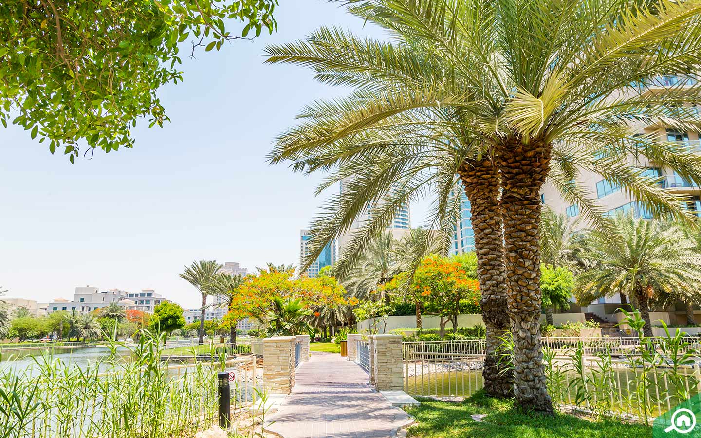 Areas to Rent Apartments in The Greens: Al Arta & More - MyBayut