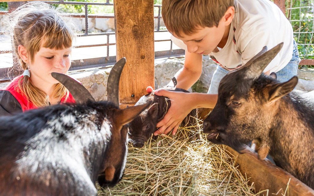 Kid-friendly Attractions In Sharjah: Best Activities & Things to do ...