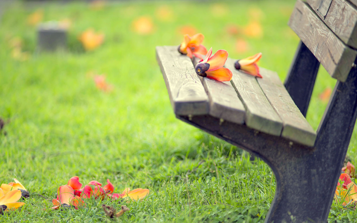 All about Hatta Hill Park in Dubai: Activities, Location & More - MyBayut