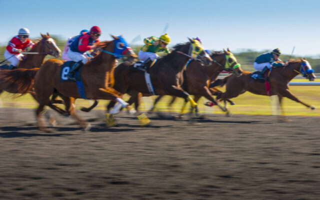 Jebel Ali Racecourse in Dubai: Events, Tickets, Location & More - MyBayut