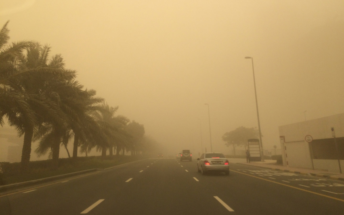 What to do in a Sandstorm: Precautions, Safety Tips & More - MyBayut