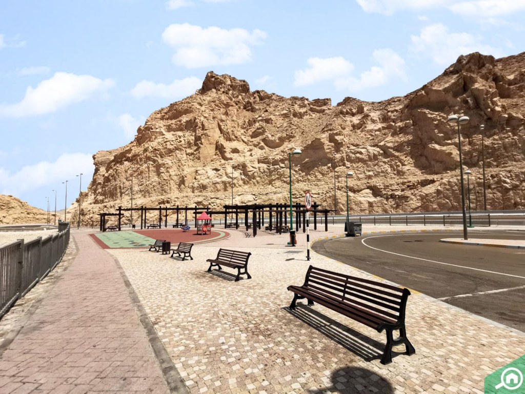 Things to do at Jebel Hafeet: Al Ain Zoo, Al Jahili Fort & More - MyBayut
