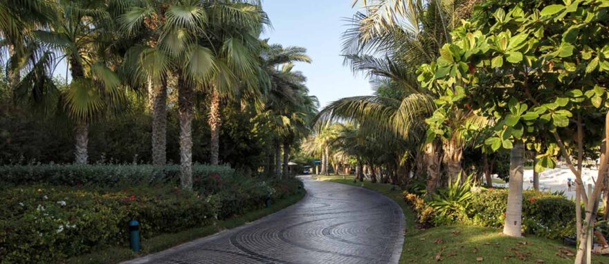 All about Karama Park in Dubai: Location, Timings & More - MyBayut