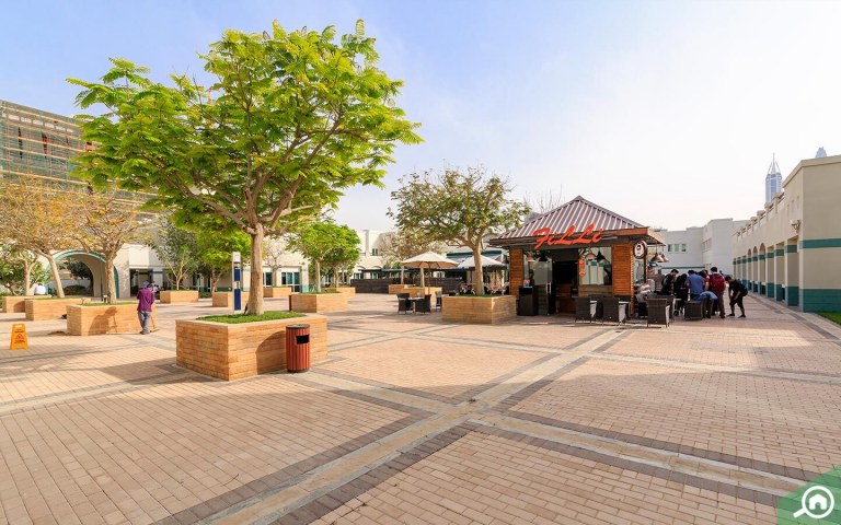 A Complete Guide of Dubai Knowledge Park (DKP) - MyBayut.