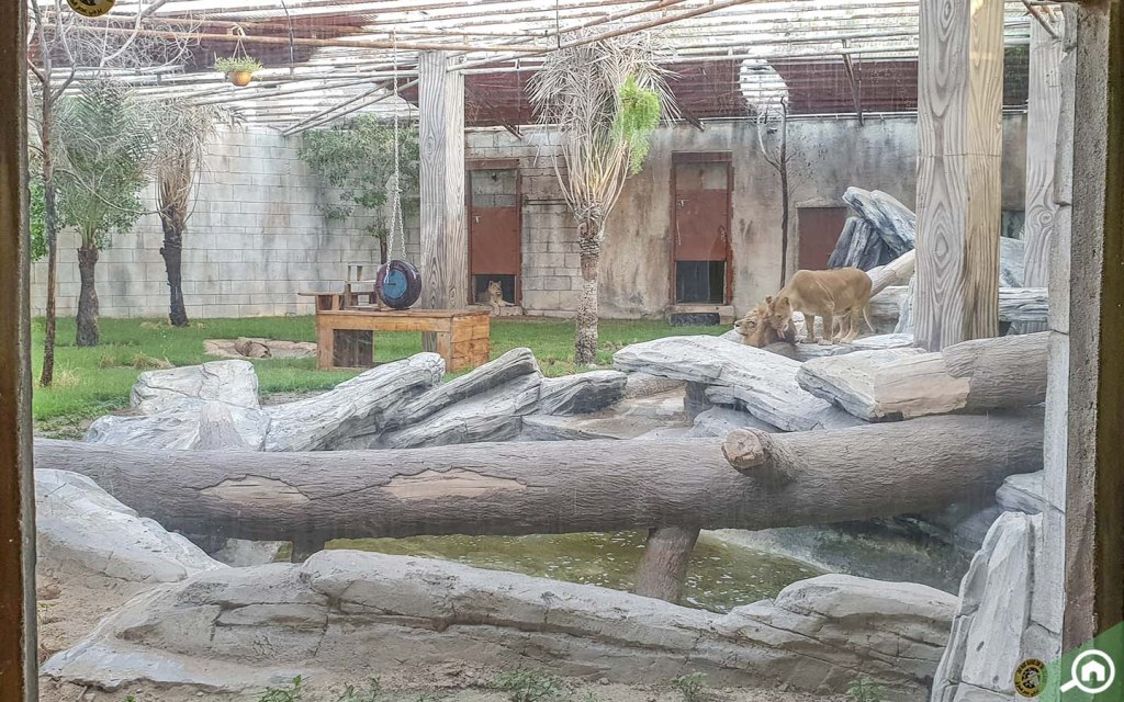 Emirates Park Zoo & Resort: Tickets, Opening Hours & More! -MyBayut