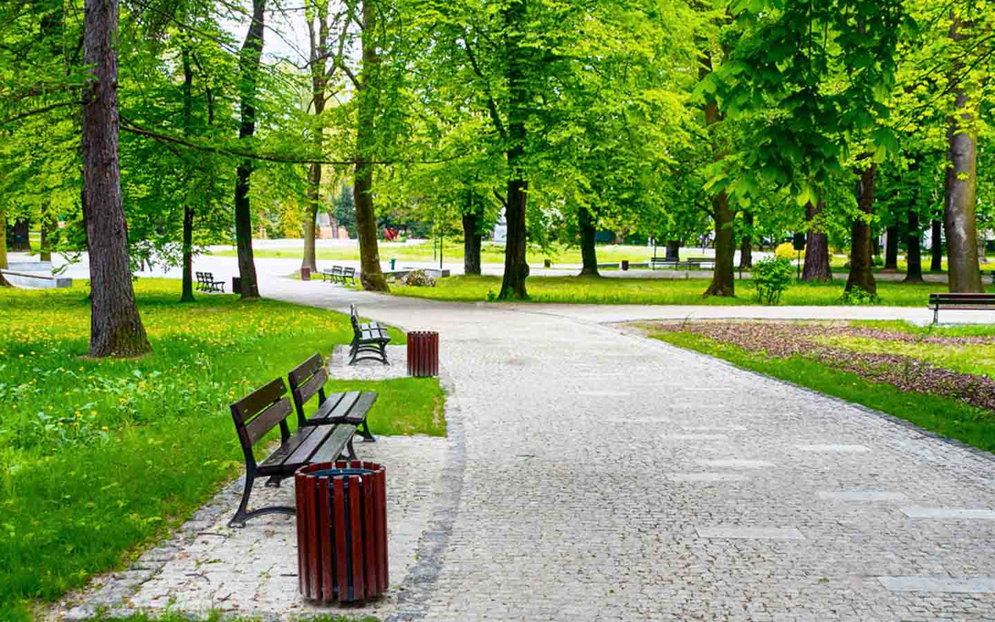 حديقة ند شما في دبي، مرافقها والأنشطة الترفيهية والرياضية فيها | ماي بيوت