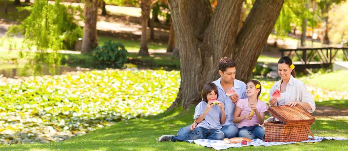 حديقة ند شما في دبي، مرافقها والأنشطة الترفيهية والرياضية فيها | ماي بيوت