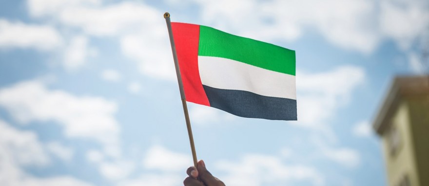 A List of All the National Symbols of the UAE – MyBayut