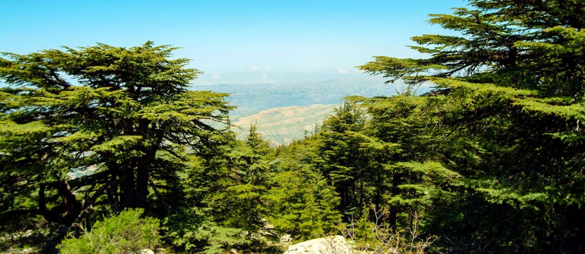 All about Wadi Al Wurayah: Location, Timings & More: MyBayut