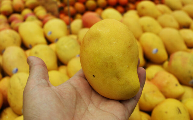 Pakistani Mango Festival Dubai: Time, Location, Events & More - MyBayut