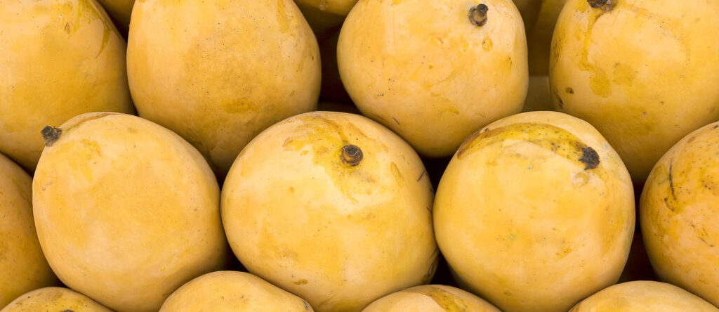 Pakistani Mango Festival Dubai: Time, Location, Events & More - MyBayut