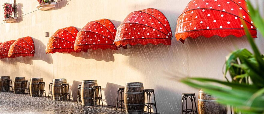 Dubai's Raining Street: Location, Ticket Prices & More - MyBayut