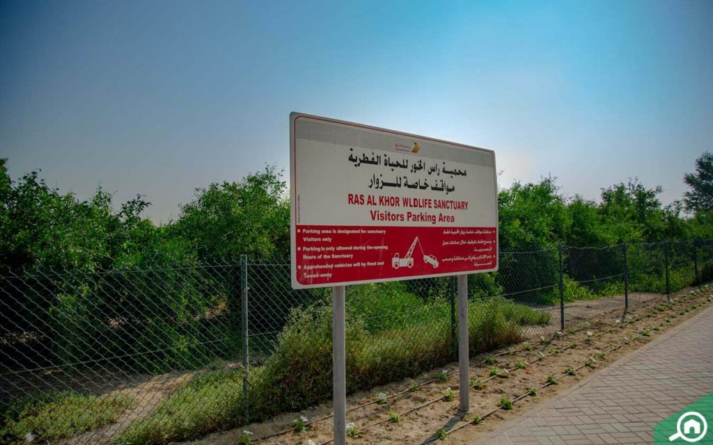 Ras Al Khor Wildlife Sanctuary: Location, Timings, Contact & More - MyBayut
