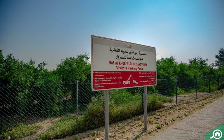 Ras Al Khor Wildlife Sanctuary: Location, Timings, Contact & More - MyBayut