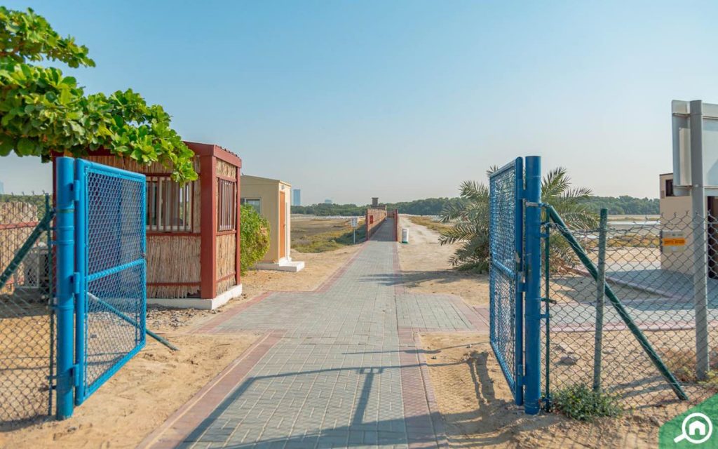 Ras Al Khor Wildlife Sanctuary: Location, Timings, Contact & More - MyBayut