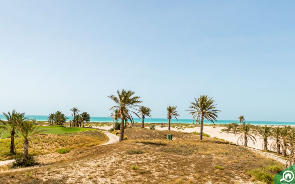 Things to do in Saadiyat Island: Saadiyat Beach, Louvre & More - MyBayut
