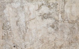 Feature Wall & Everything You Need to Know About It - MyBayut