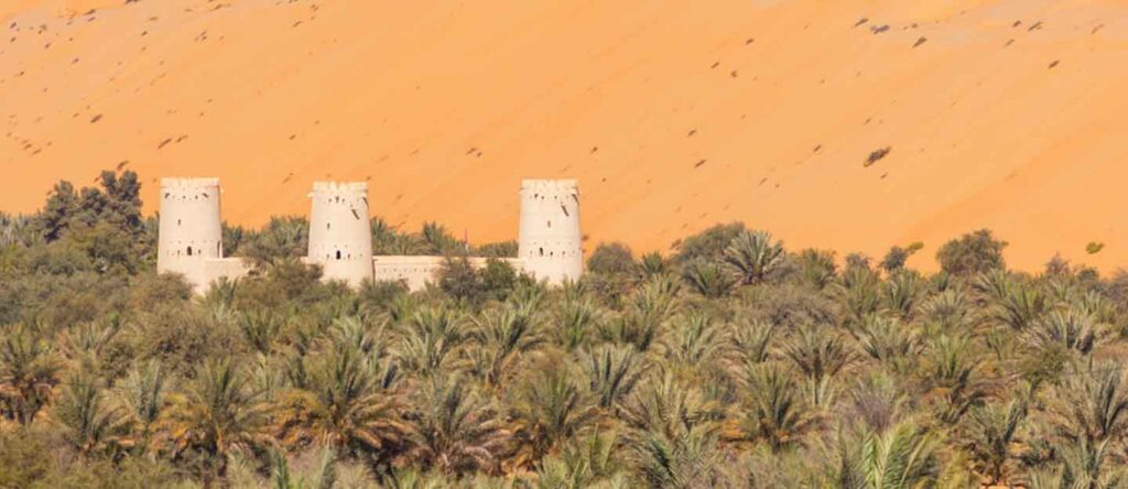 Things to Do in Liwa: Camping, Dune Bashing & More - My Bayut
