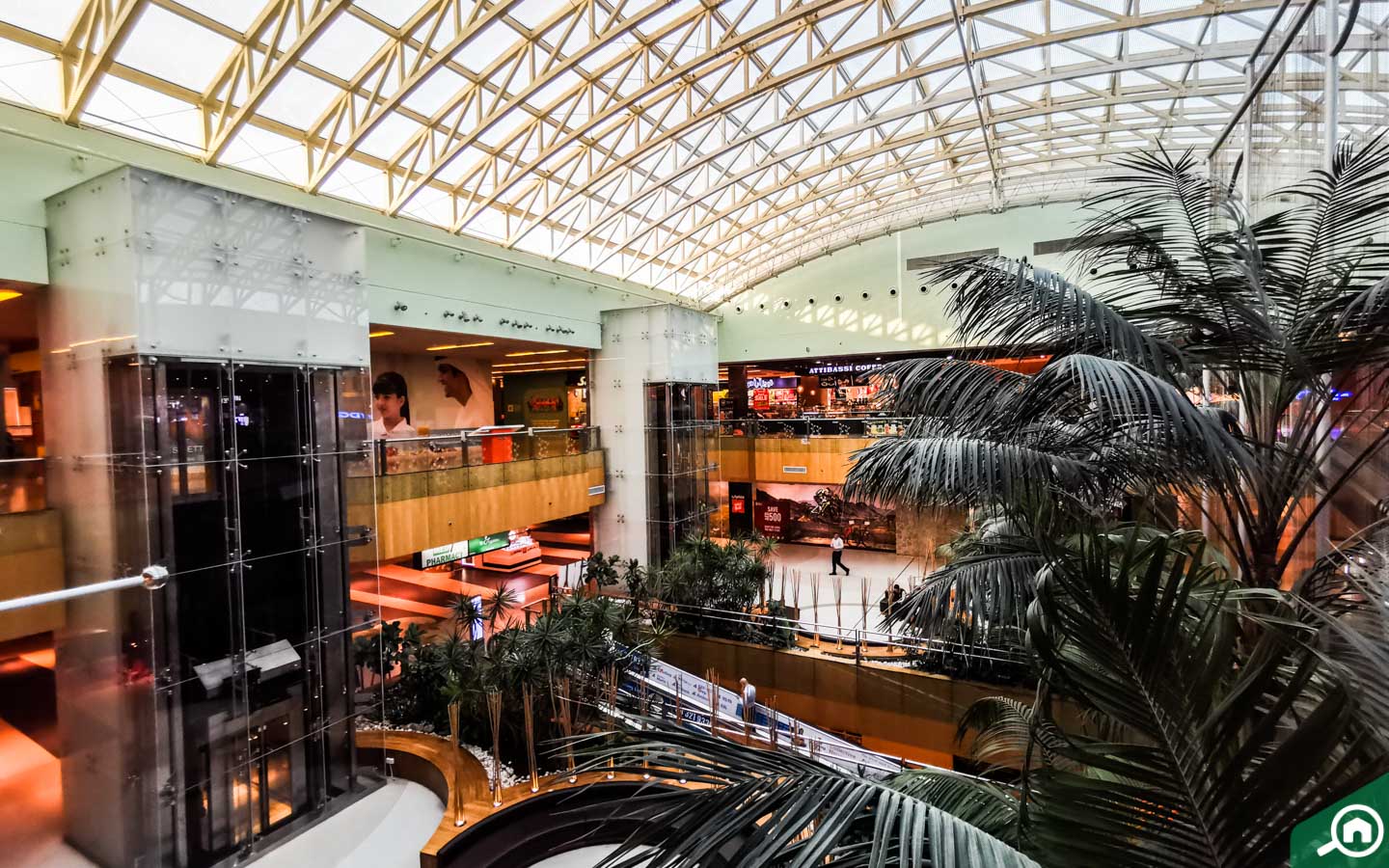 All About Ripe Market Dubai: Locations, Timings & More - MyBayut