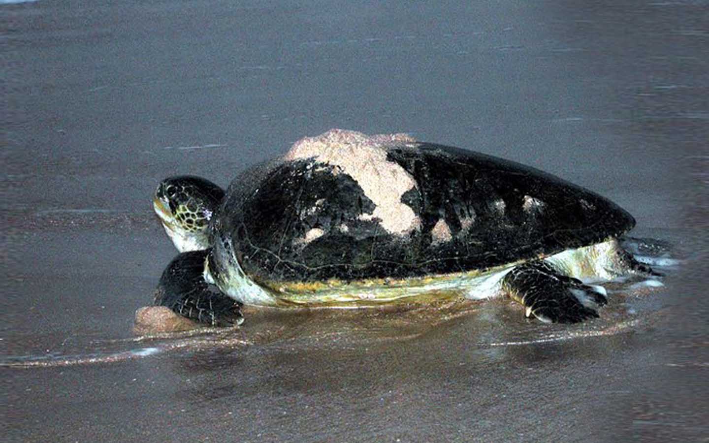 Guide to the Best Places to Visit in Oman from Dubai - MyBayut