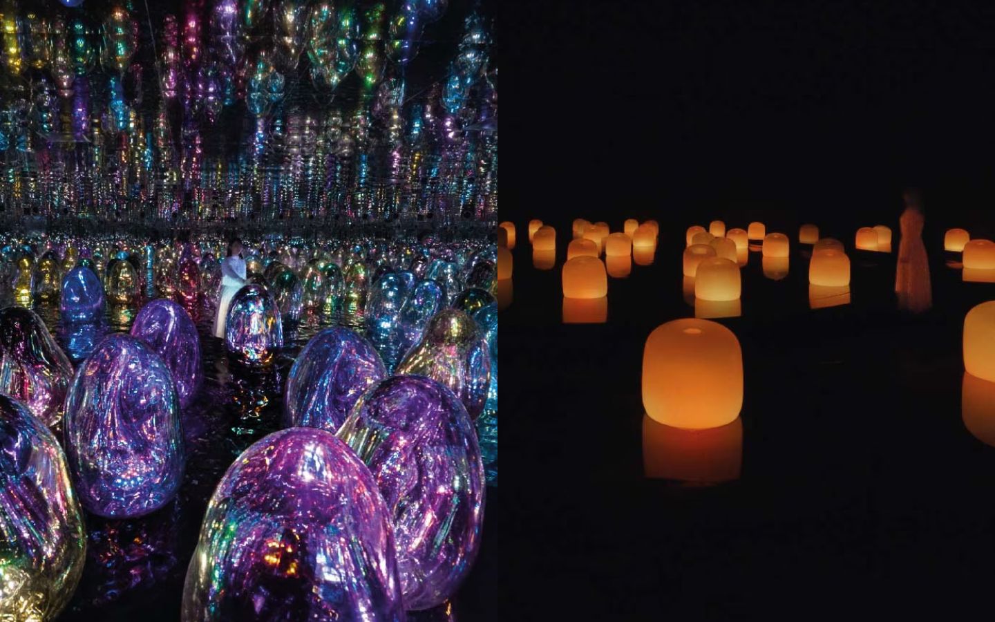 All About TeamLab Phenomena Abu Dhabi - MyBayut