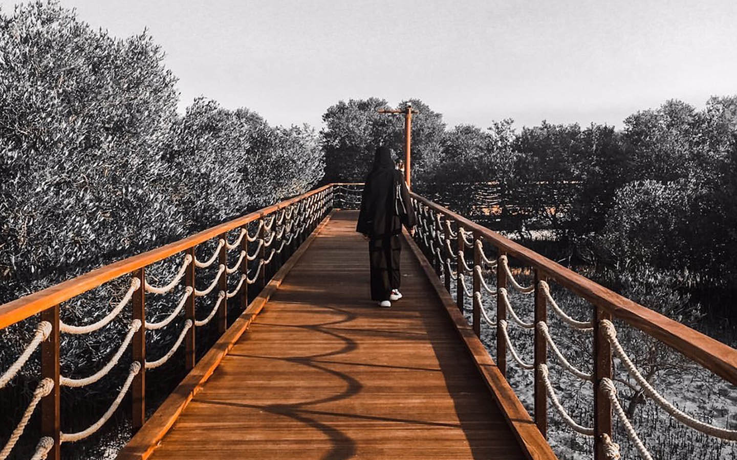 Al Jubail Island Abu Dhabi: Properties, Sightseeing & More - MyBayut